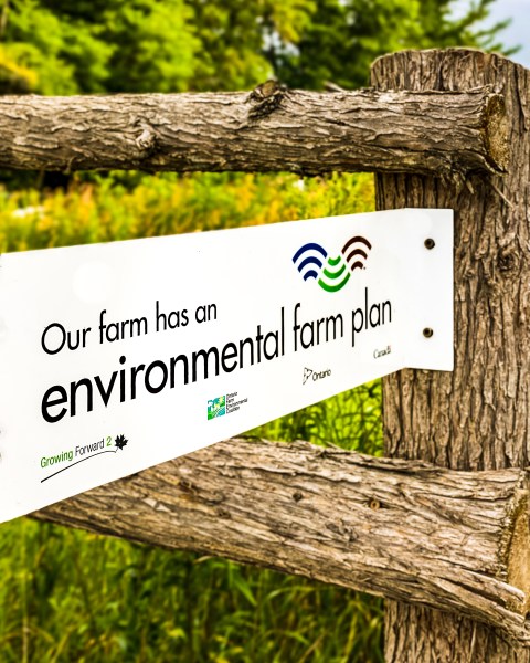 Regenerative farming explained – Winterhill Farm and Garden